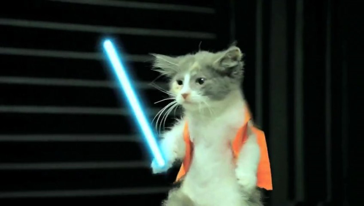 Jedi Kittens Strike Back - video Dailymotion