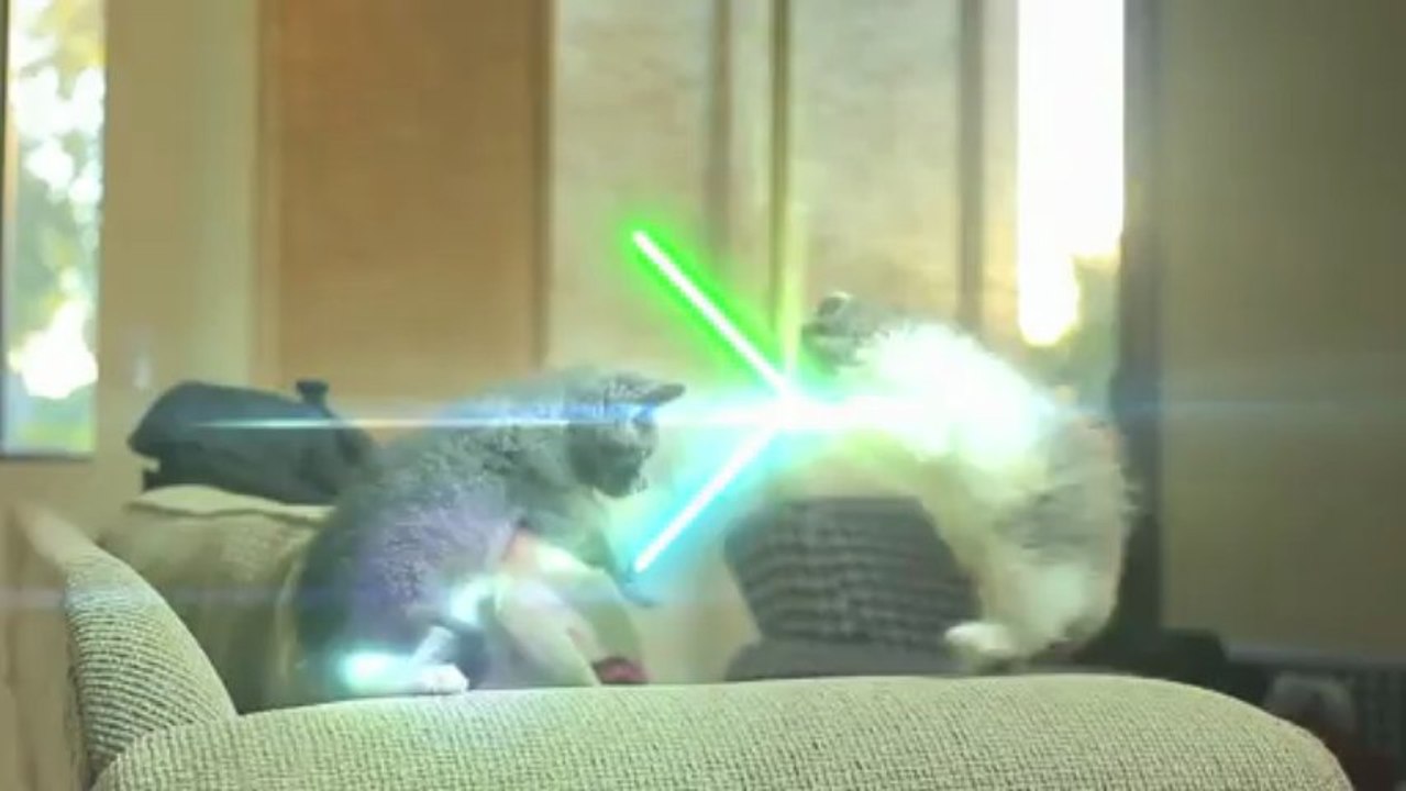 Jedi Kittens - Original - video Dailymotion
