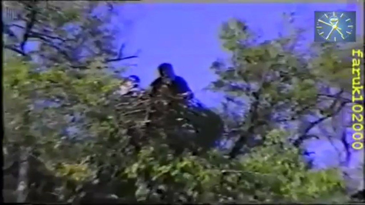 CIMA & BESNIKET - HUMOR - video Dailymotion