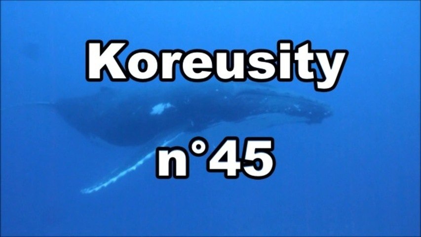 Vidéos de Koreus - Dailymotion