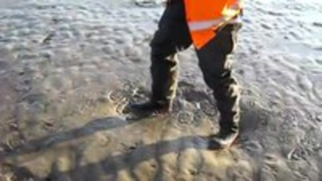 Quicksand Is Kind Of Awesome - video Dailymotion