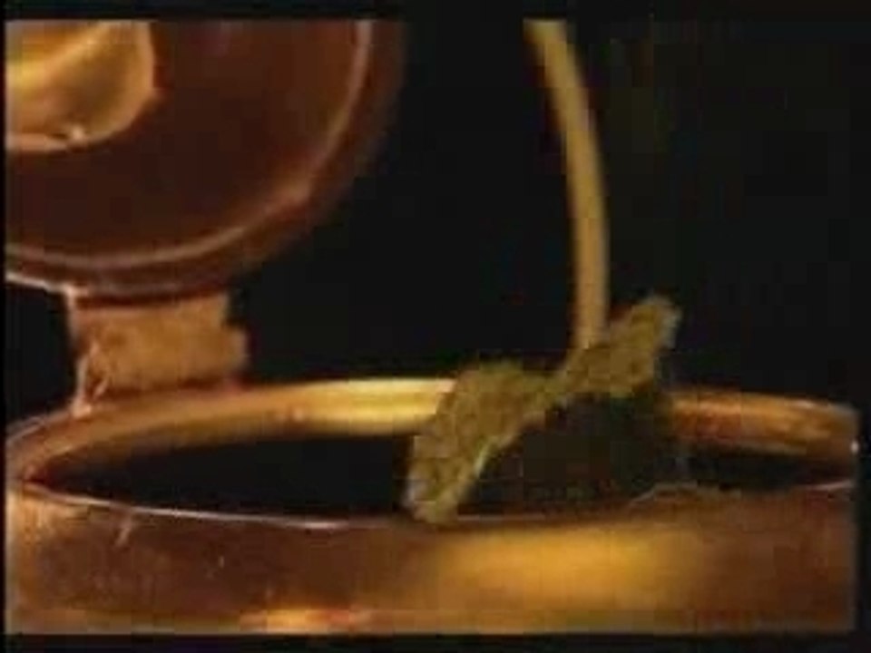 pub atay sultan maroc - Vidéo Dailymotion