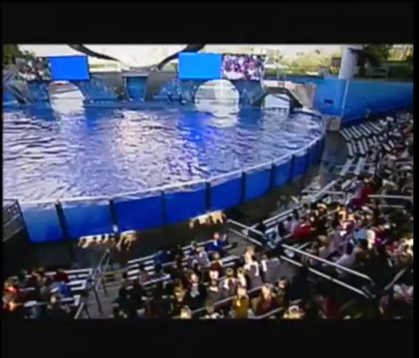 seaworld orlando believe full show DVD version - video Dailymotion