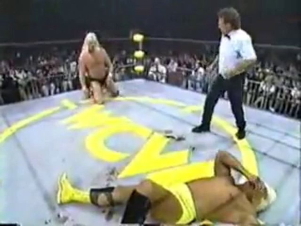 Ric Flair vs Barry Windham-WCW Heavyweight Title - video Dailymotion