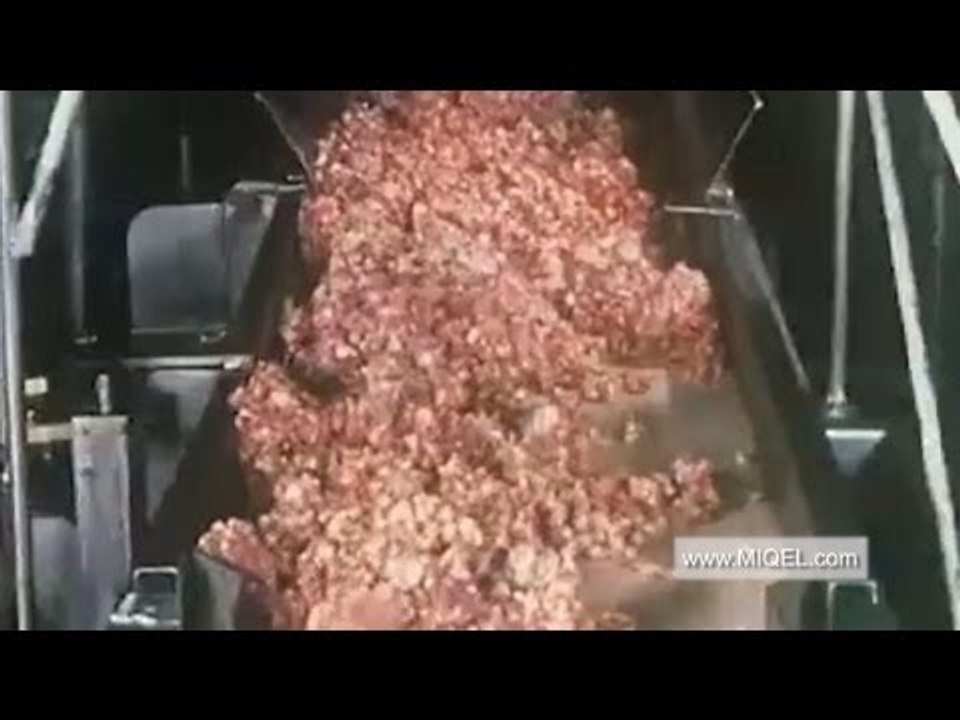 Man falls into meat grinder in gruesome workplace accident - video ...