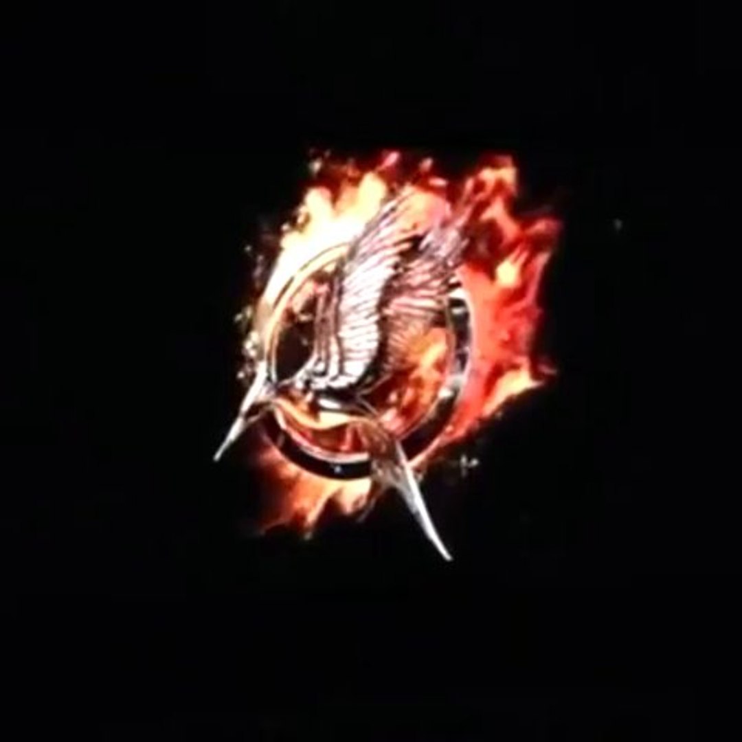 Hunger Games Catching Fire Mockingjay Symbol