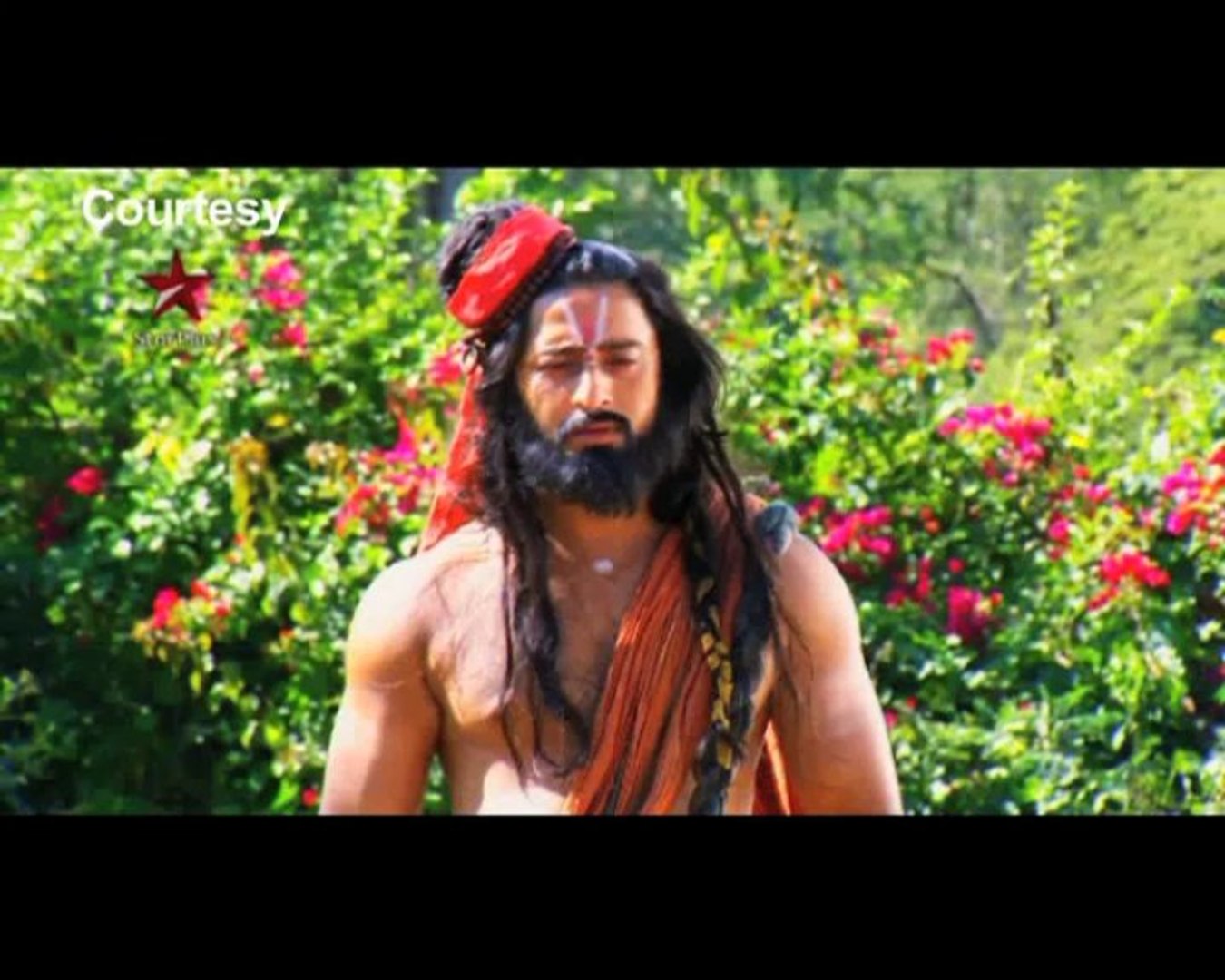 Arjun Mahabharat Star Plus