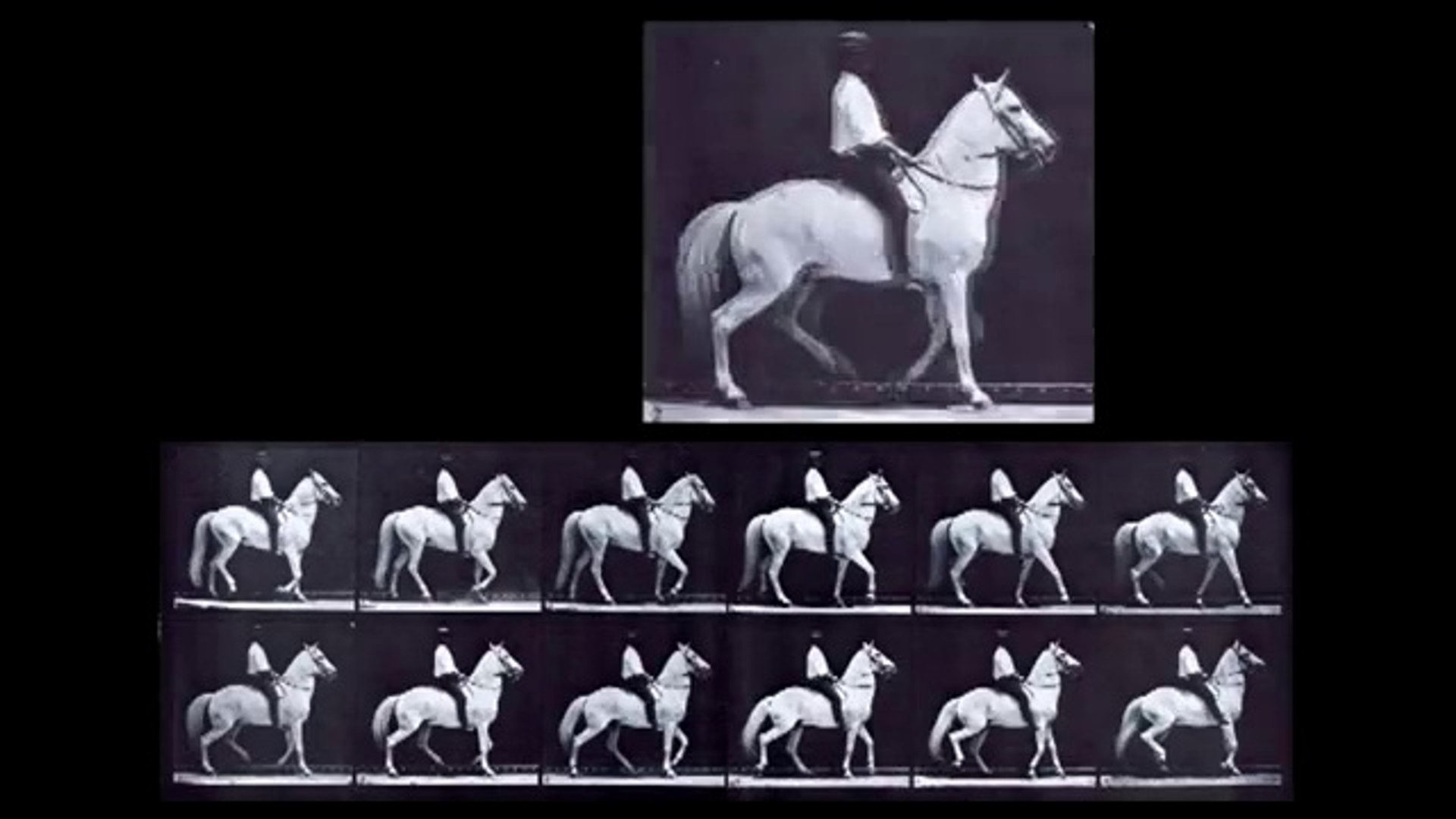 Eadweard Muybridge Fotografa Cavalo Eadweard Muybridge A Sequence Of