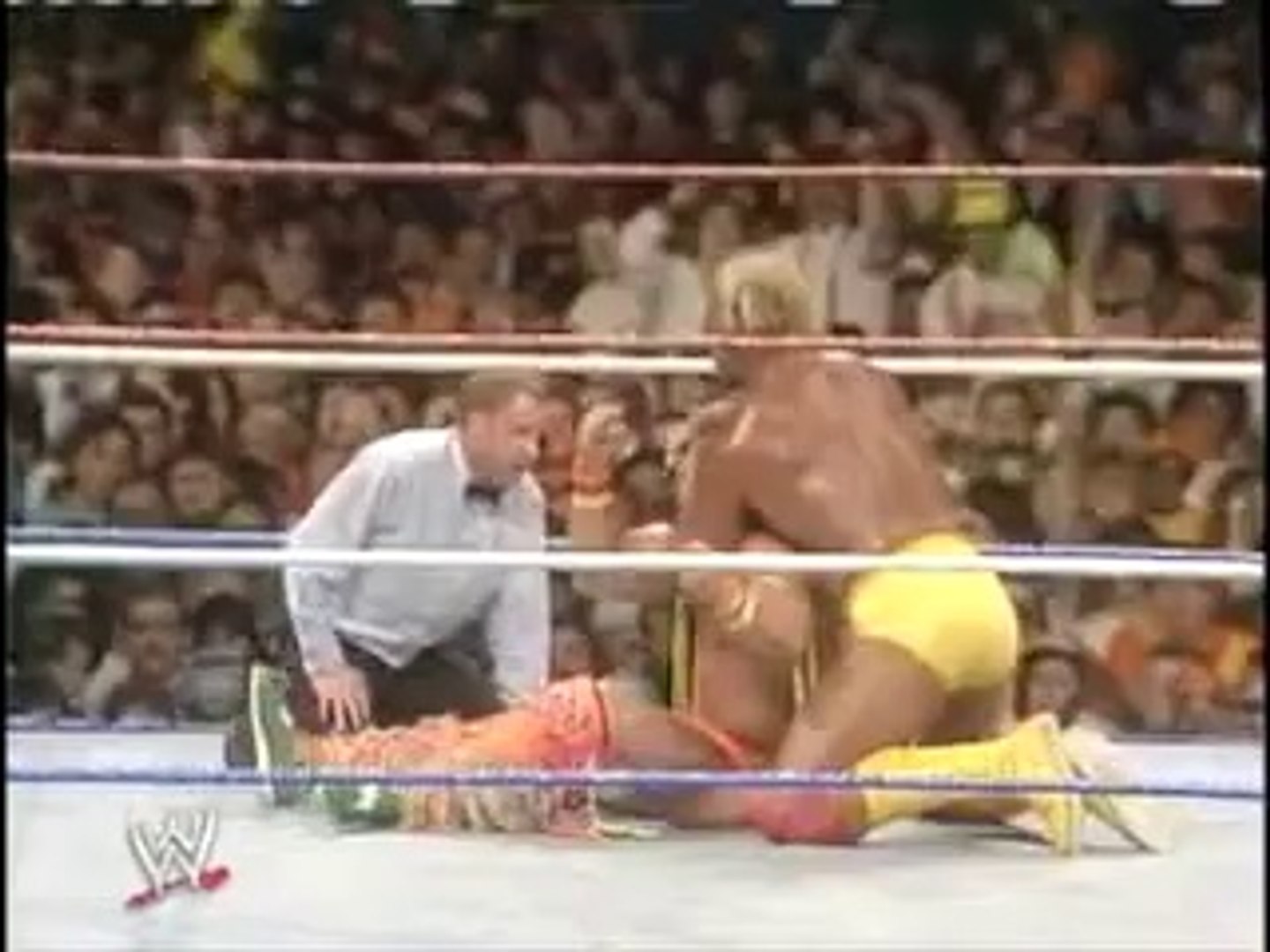 Hulk Hogan Contra Ultimate Warrior Wrestlemania 6