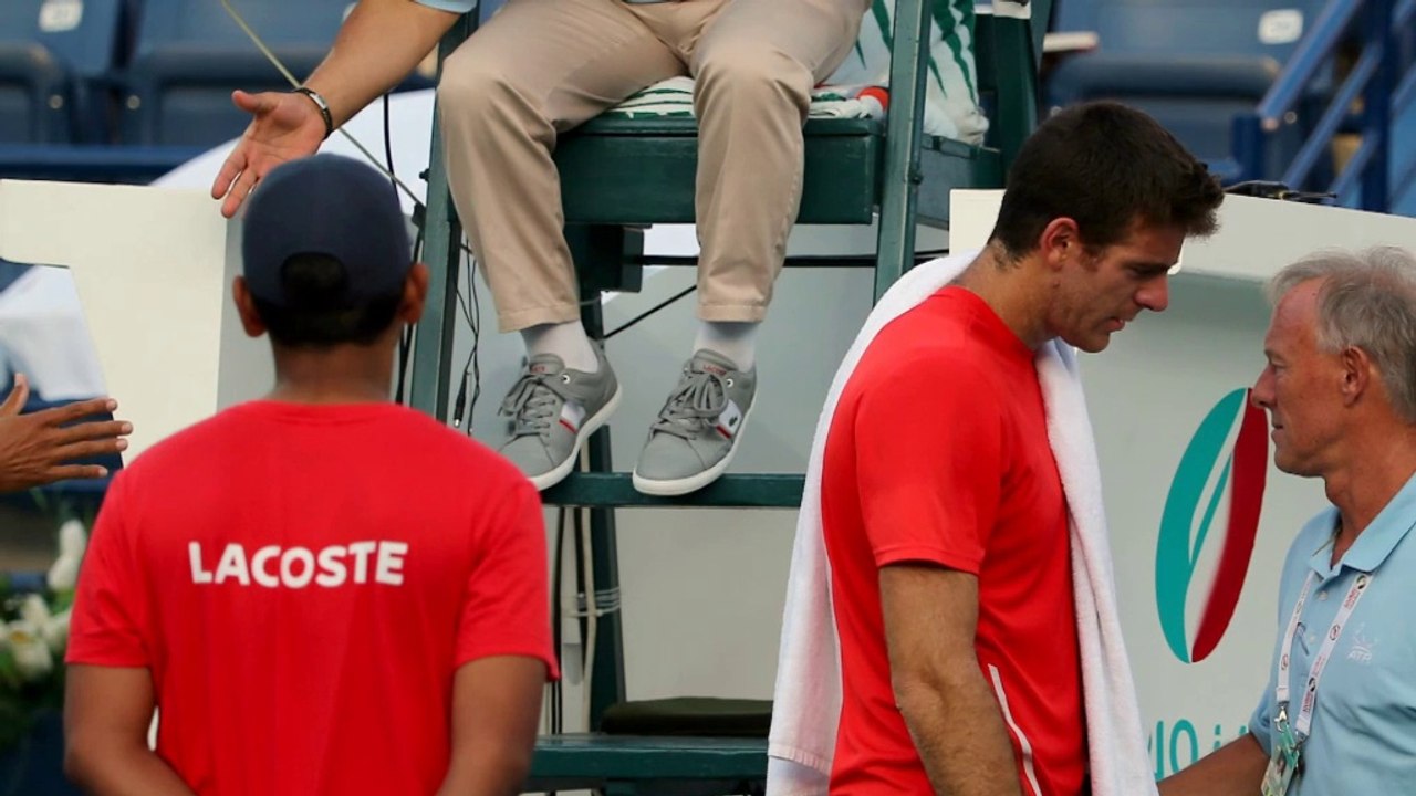 Del Potro devastated by injury - video Dailymotion