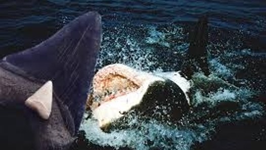 In Search of Mexico's 60-foot Black Demon Shark - Nature Documentary ...