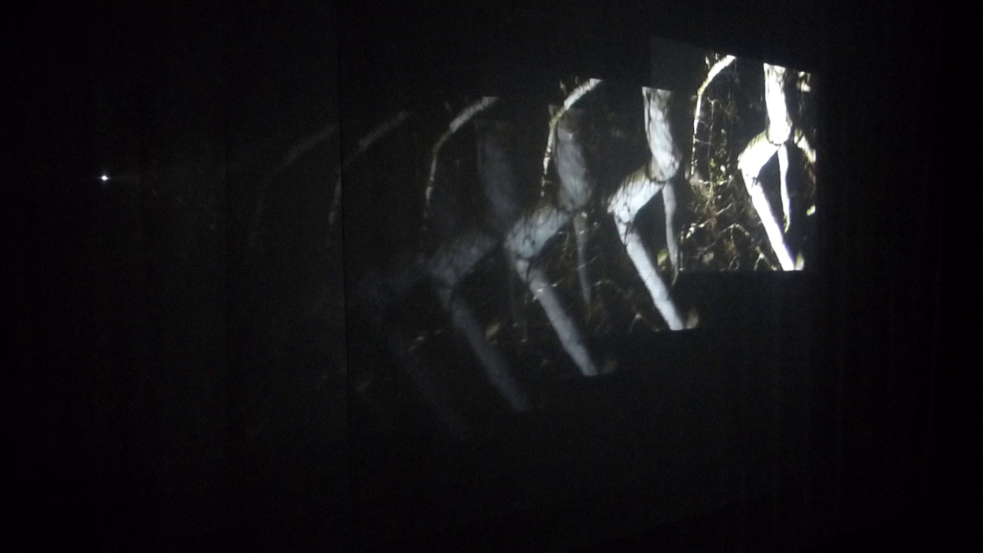 Bill Viola The Veiling