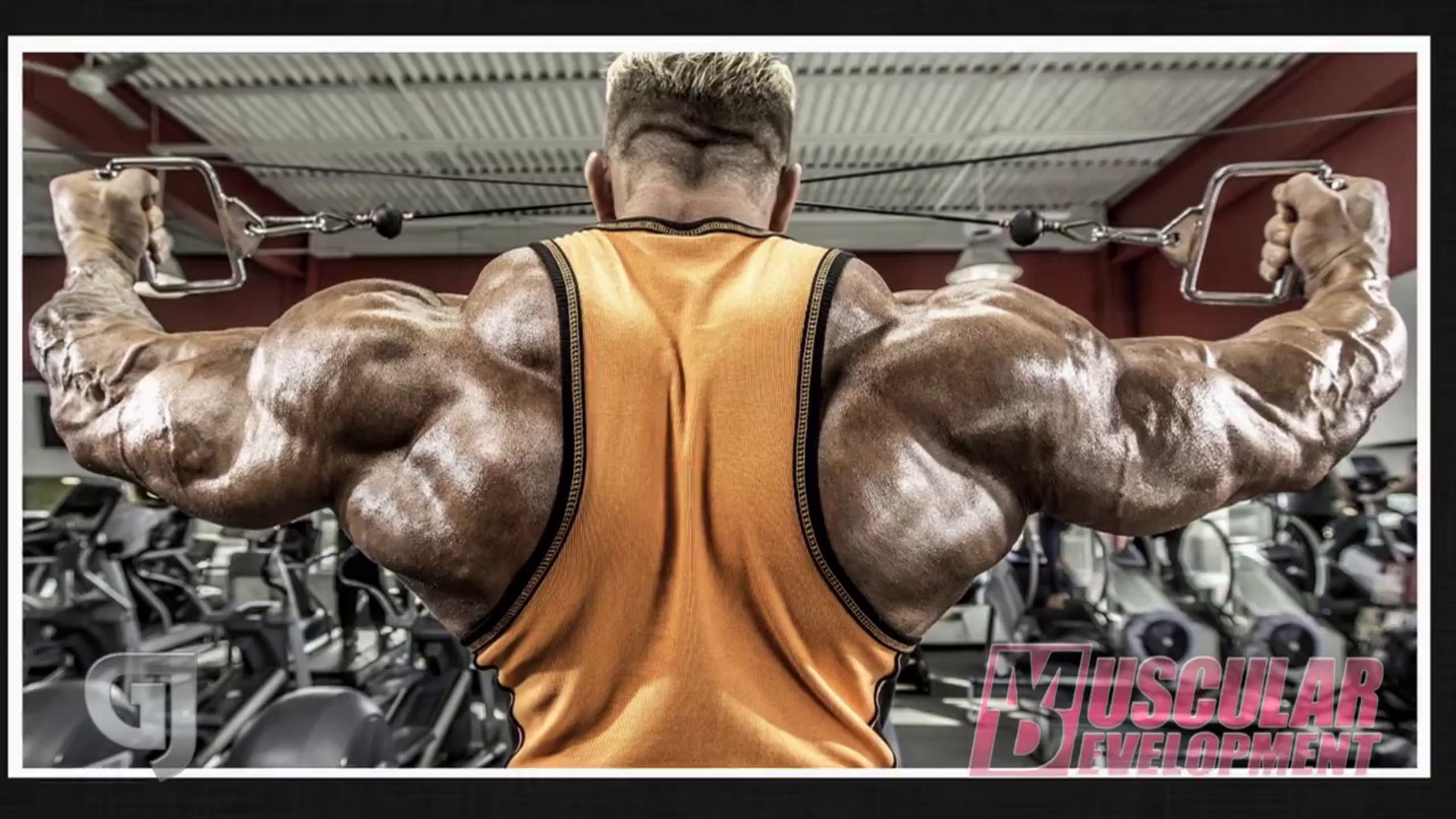 Dennis Wolf Wallpaper Dennis Wolf Wallpapers Wallpaper Cave