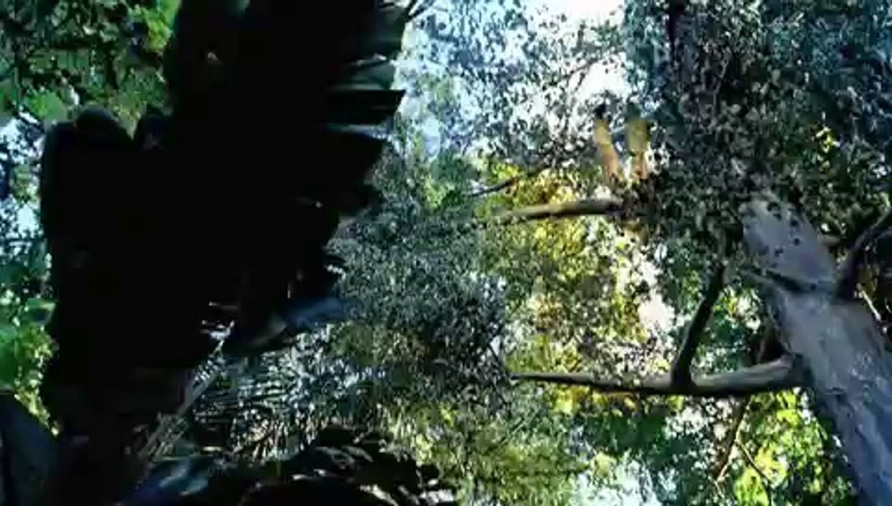 The Rundown - Movie Trailer - video Dailymotion