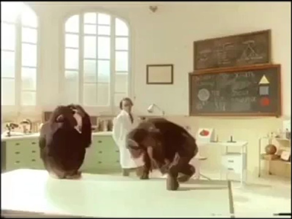 Monkeys are learning Lesson in lab. - video Dailymotion