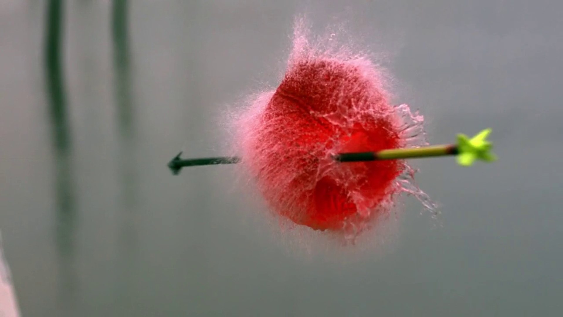 Arrow In Flight Slow Motion