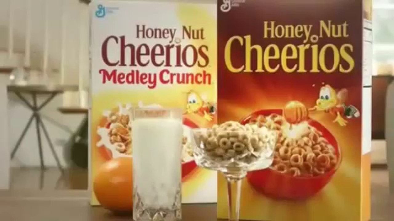 Honey Nut Cheerios - Buzz Meets Grumpy Cat - Must Bee The Honey - video ...