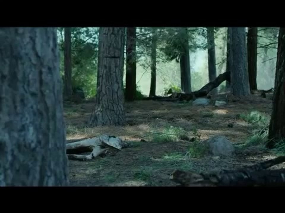 Funny Geico Commercial - Tree Falling Everybody Knows BY VERY FUNNY ...