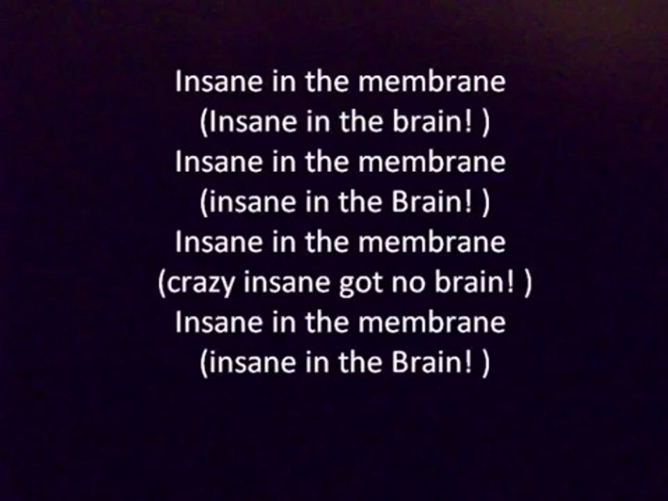 Insane in the Membrane - Cypress Hill (Lyrics / Paroles) - Vidéo ...