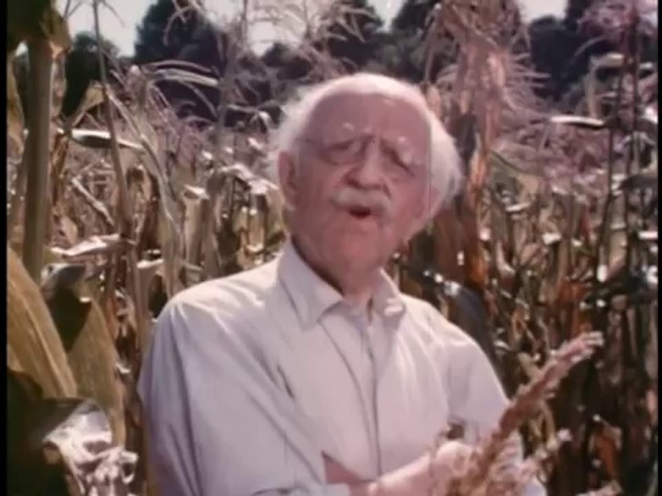 "Paperwork Explosion" - Vídeo Dailymotion