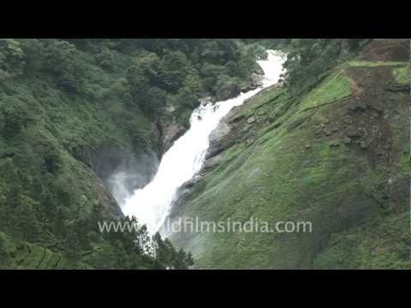 Ulakkai Aruvi 20 Waterfalls Near Chennai | Falls Near Chennai | Treebo