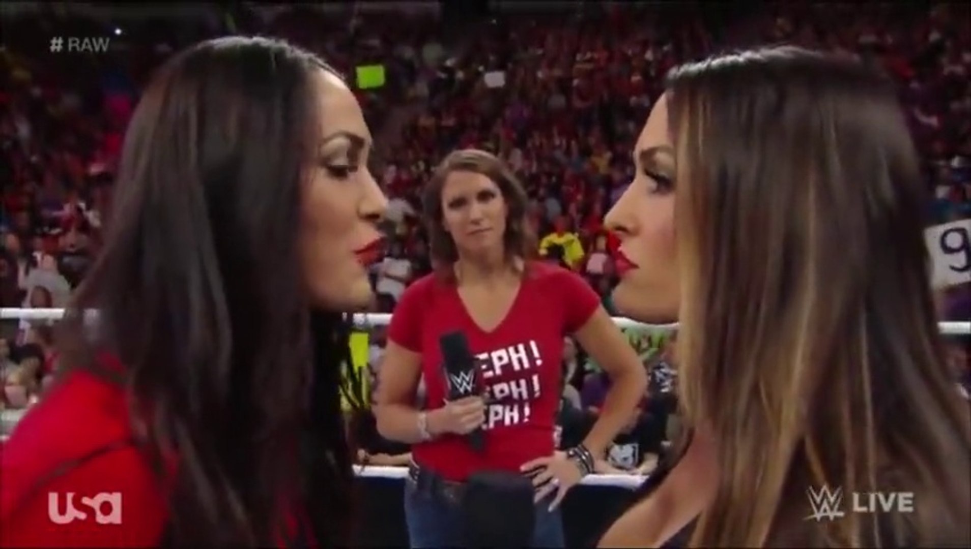 Nikki Bella And Brie Bella Fight