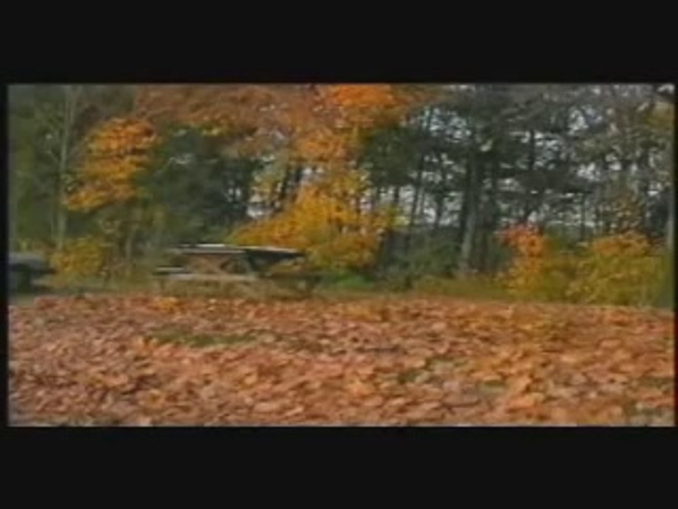 Ozone (1993) Trailer - Vídeo Dailymotion