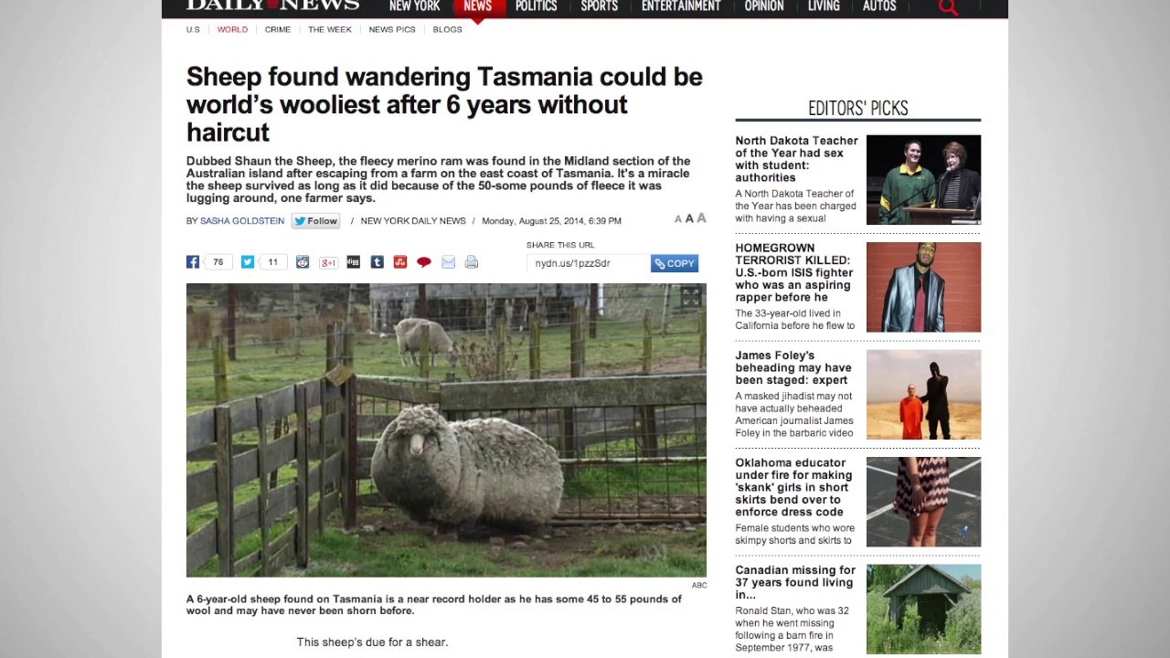 Super Fluffy Sheep Could Be World's Wooliest - video Dailymotion