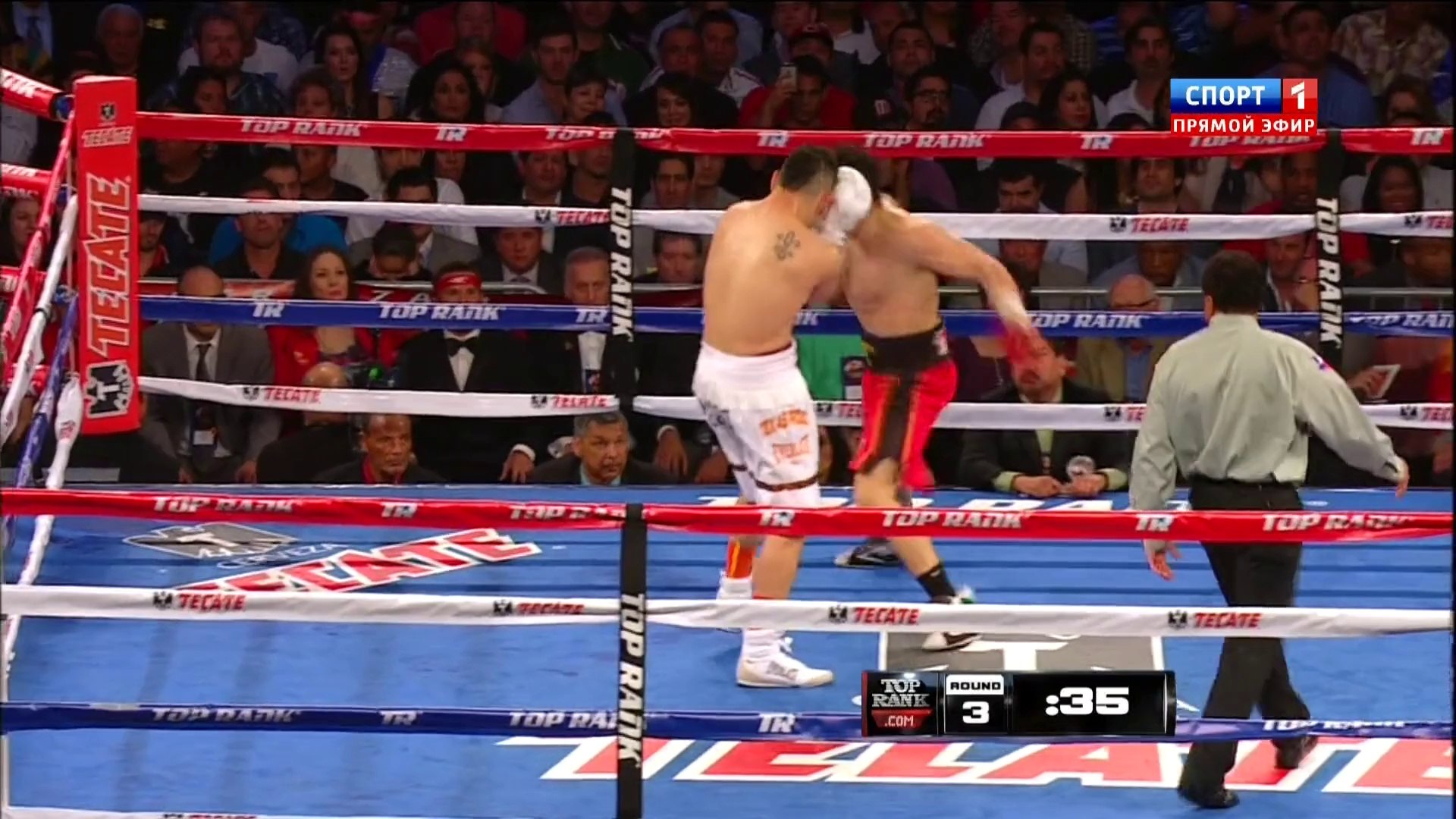 Julio Cesar Chavez Jr Vs Brian Vera 2