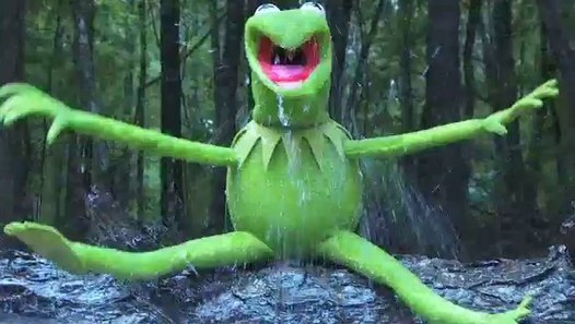 Kermit the Frog 2014 Ice Bucket Challenge - ALS Challenge - video ...