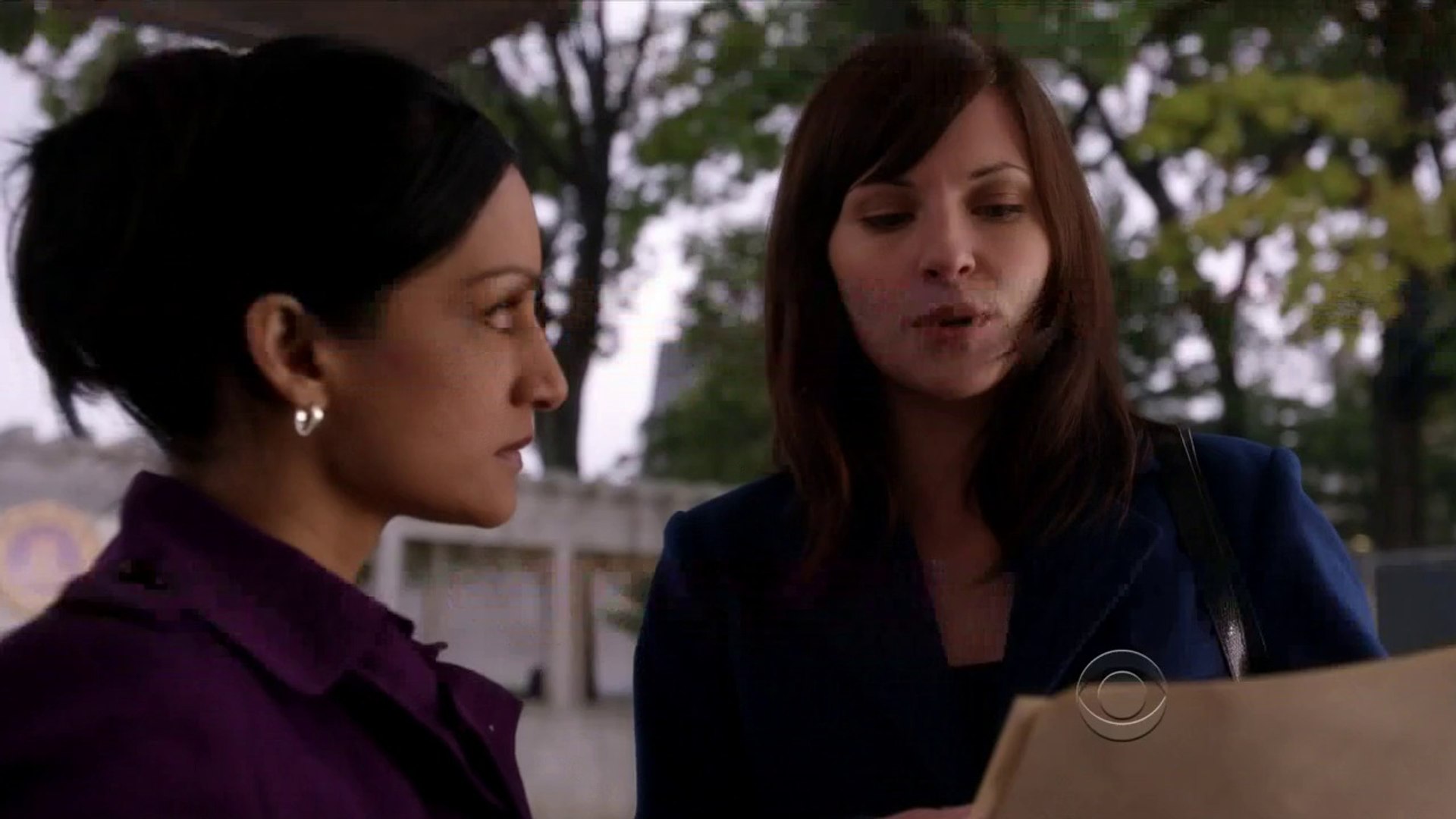 The Good Wife Kalinda And Lana