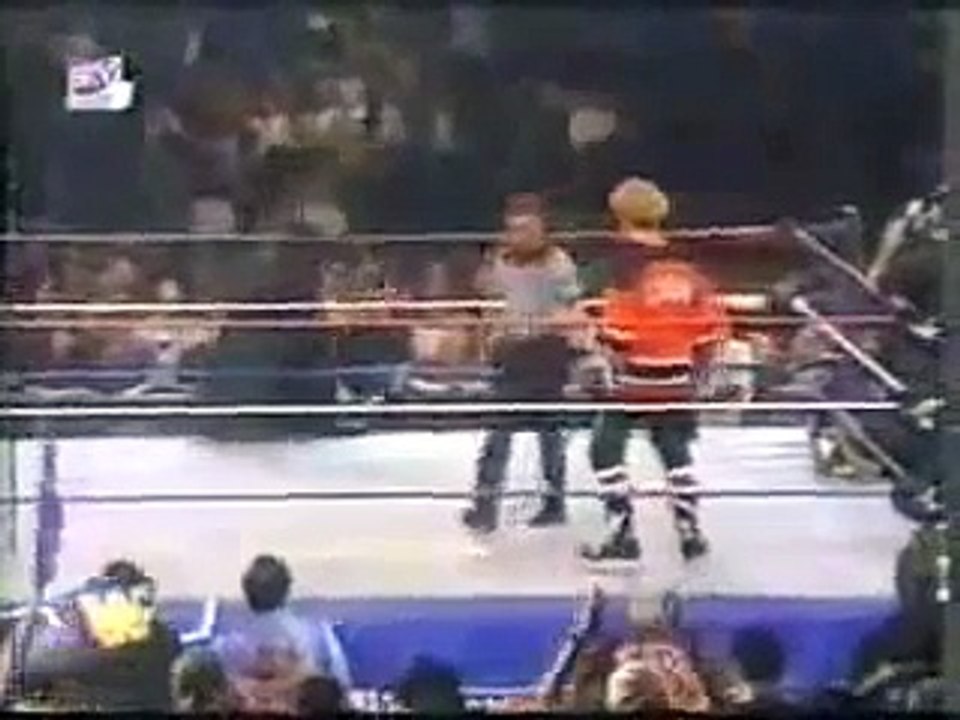 WWF The Undertaker vs The Goon 1997 - - video Dailymotion