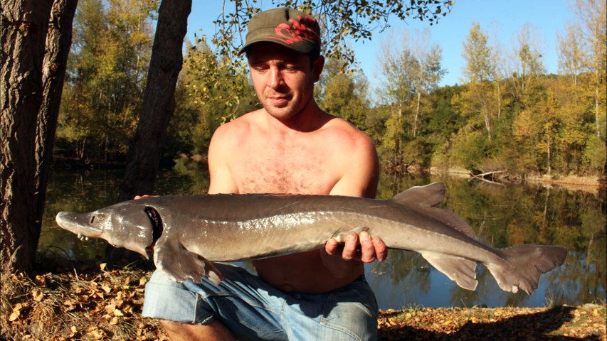 Vidéos de Frederic Ducros - Dailymotion