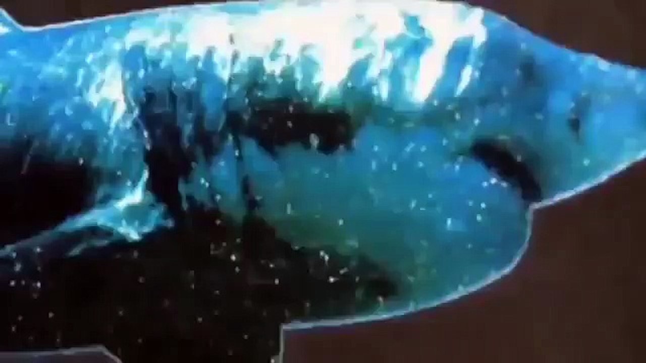 Full Documentary Nat Geo Wild Animals Great White Shark Attacks ...