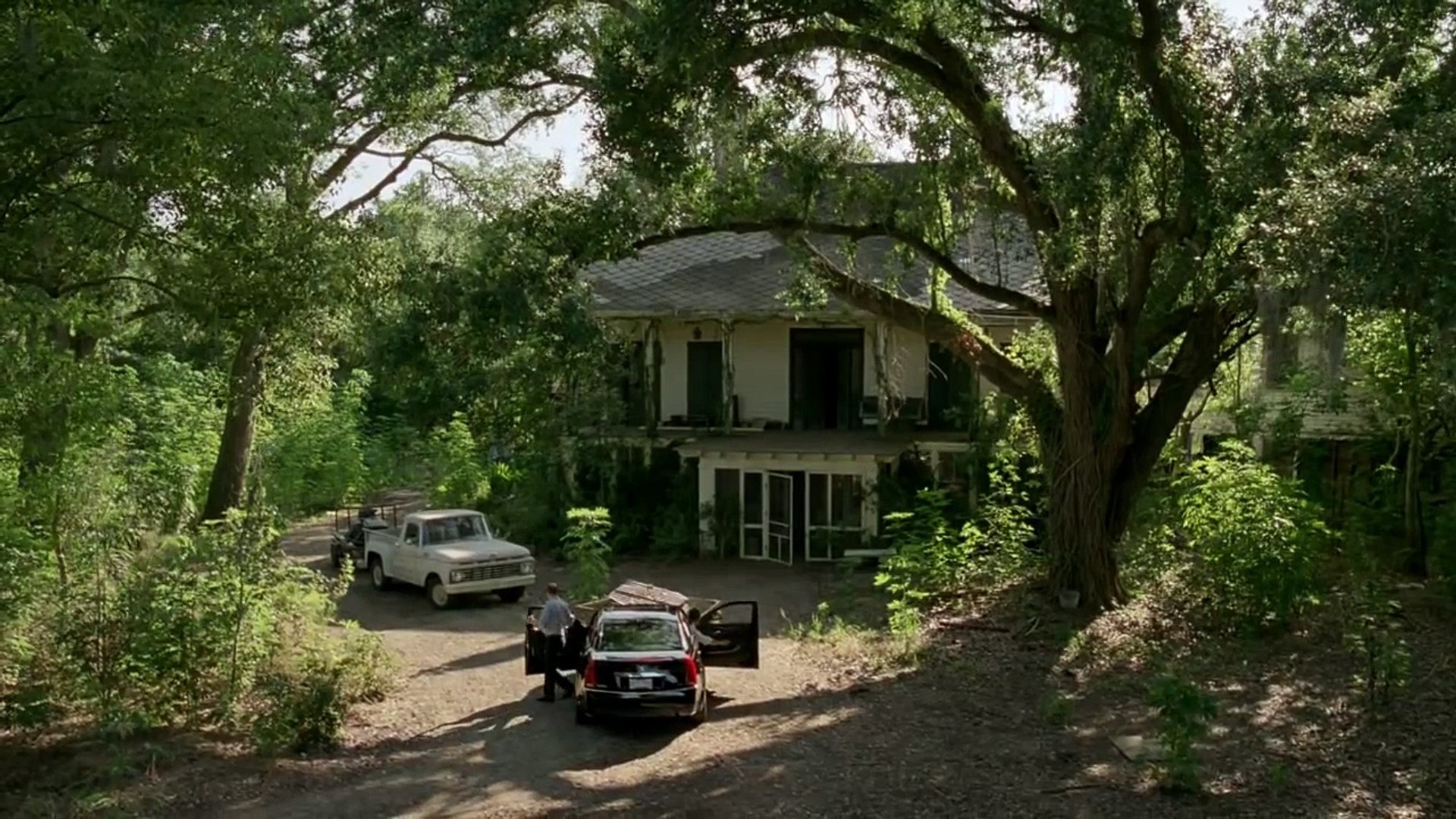 True Detective Tree Wallpaper