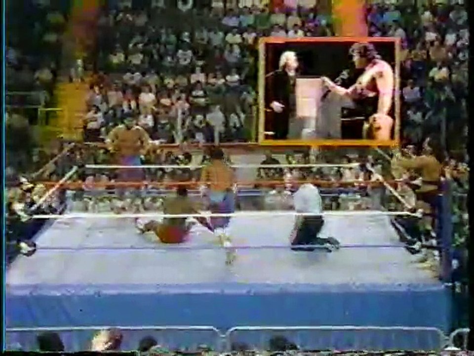 WWF Superstars 1987-07-25 - video Dailymotion
