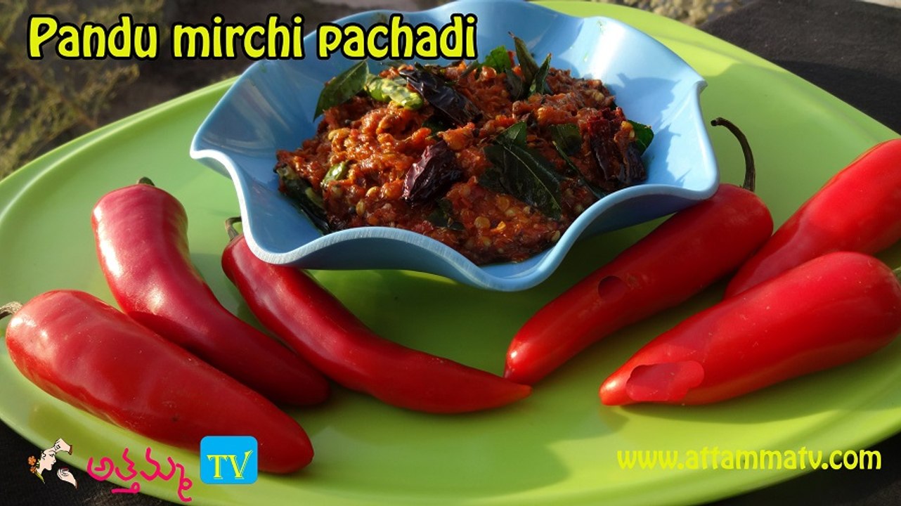 Pandu mirchi pachadi - video Dailymotion