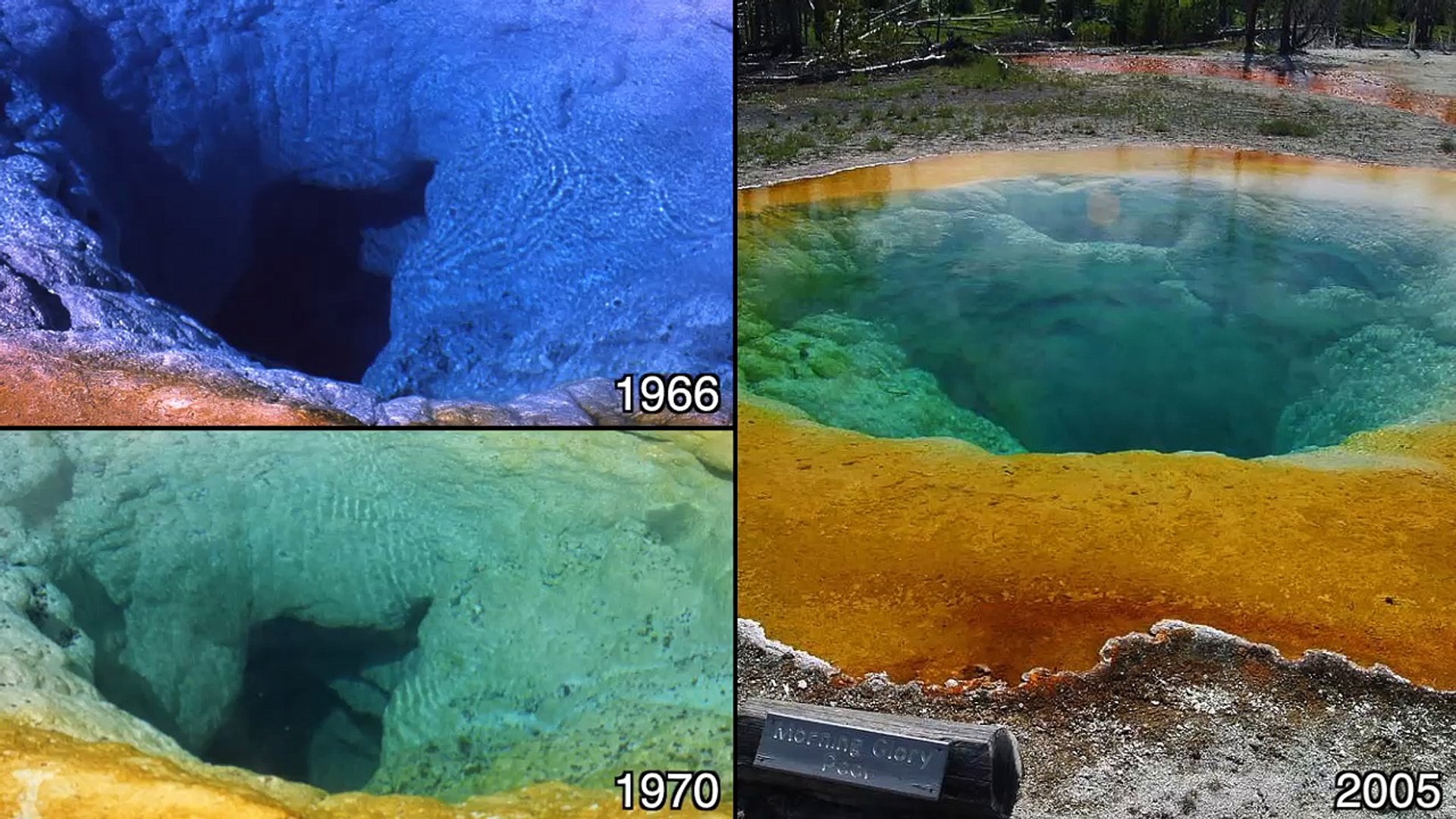 Morning Glory Pool Wallpaper