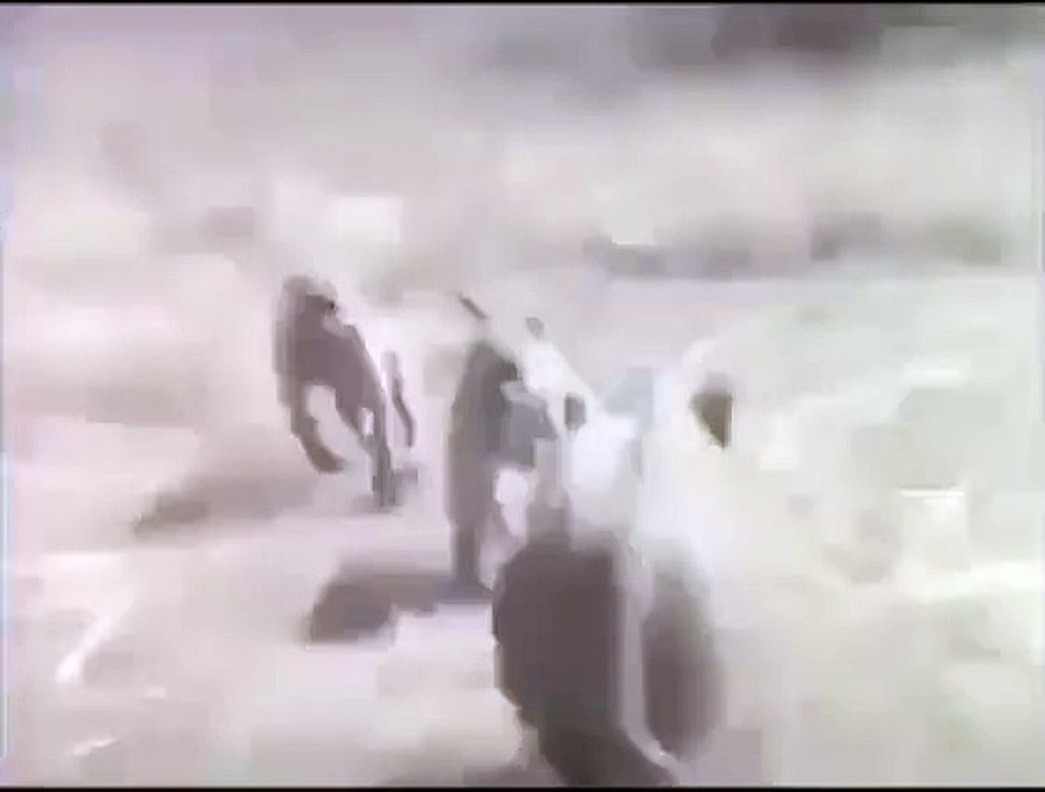 Funny monkeys riding the bull - video Dailymotion