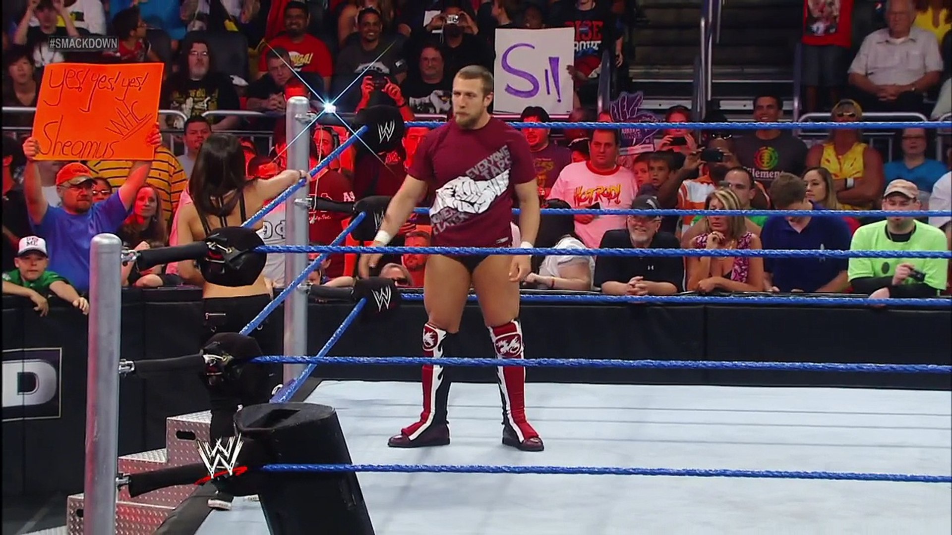 Wwe Aj Lee And Daniel Bryan