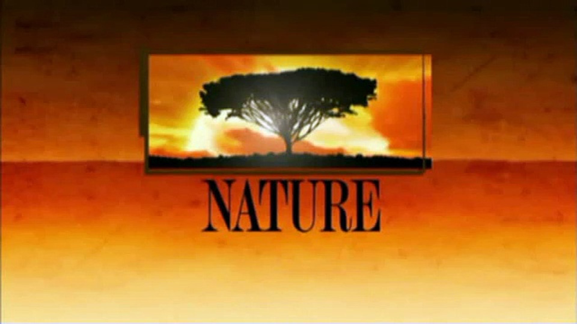 Pbs Nature Logo Nature Cat | The Nature Cat Band! | PreK K | PBS