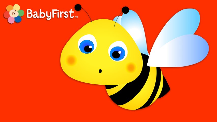 Vidéos de BabyFirst France - Dailymotion