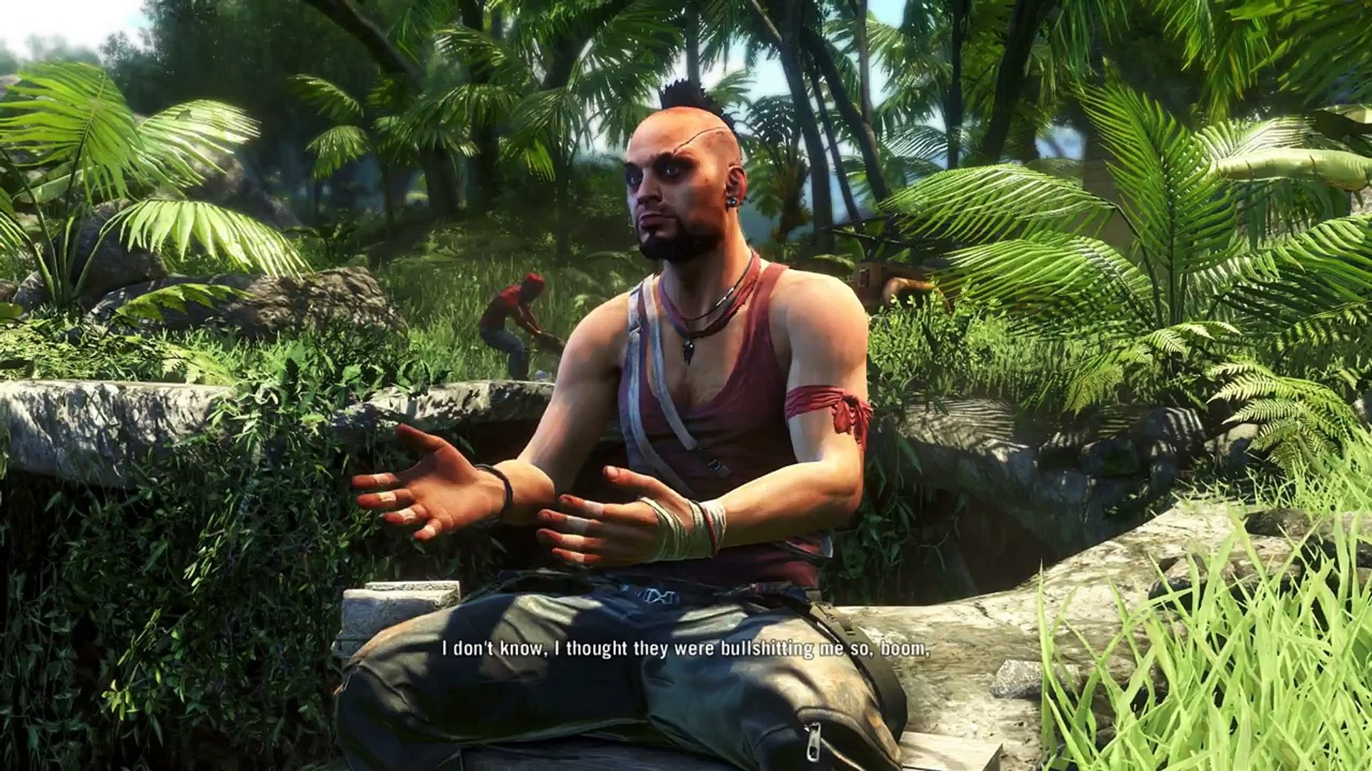 Vaas Insanity Wallpaper