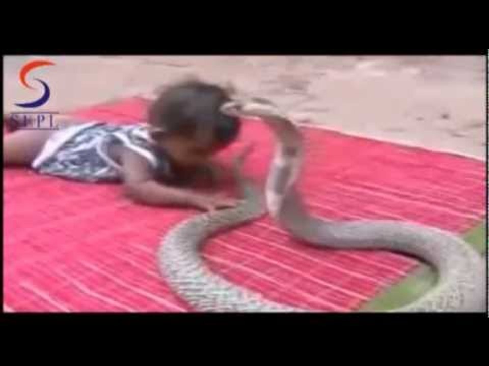 REAL !! Baby playing with King Cobra. - video Dailymotion