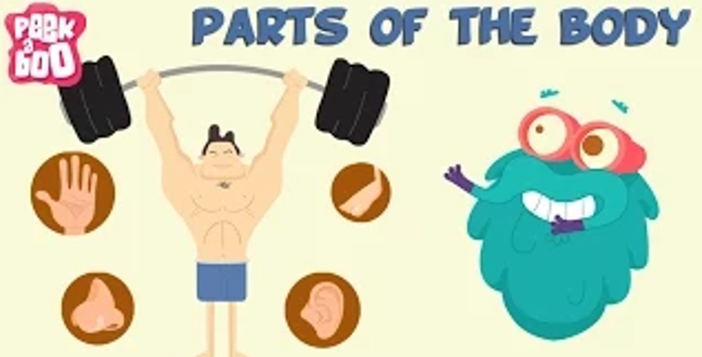 Parts Of The Body | The Dr. Binocs Show | Learn Series For Kids - video ...