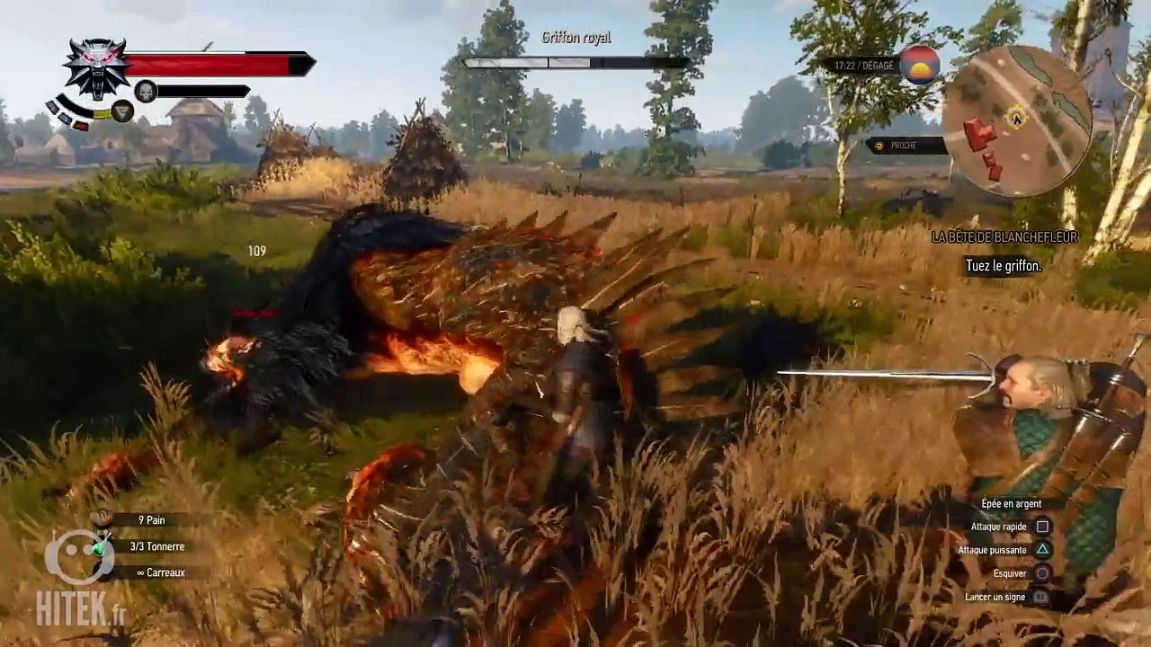The Witcher 3 - Gameplay griffon - Vidéo Dailymotion