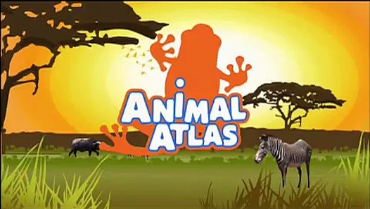 Animal Atlas Montages! Hey Horse! - video dailymotion