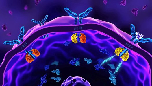 Jakafi® ruxolitinib) Mechanism of Action (MOA) Video - video dailymotion