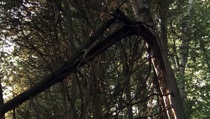 wrong turn 1 (2003) Full Movie by funchamp - Dailymotion