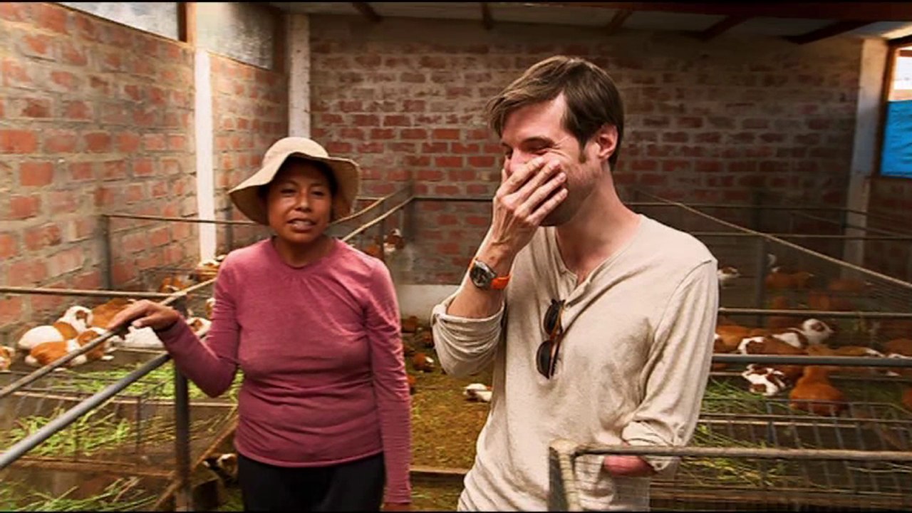 Le "Cuy", le plat traditionnel au Pérou à base de cochon d'inde - Vidéo ...